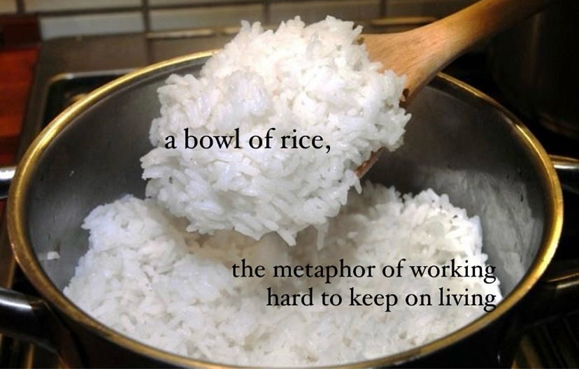 a bowl of rice & being alive.. of how parts of us are grains of rice ...