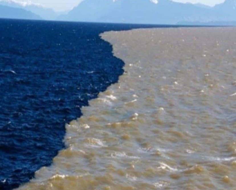 The Mystery of Two Oceans That Never Mix: A Quranic Revelation. | by ...