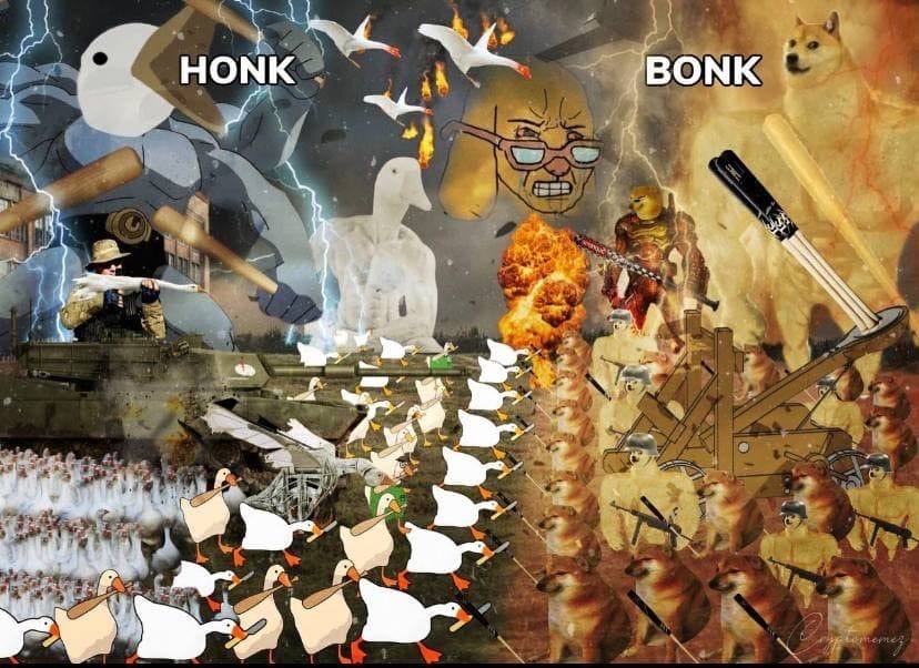 The Tale Behind The Meme: You can’t Bonk the Honk | by GooseHonk | Medium