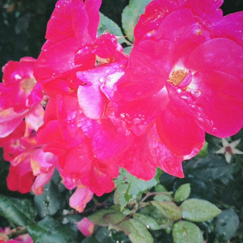 The Final Call - Joshua Bannon - Medium