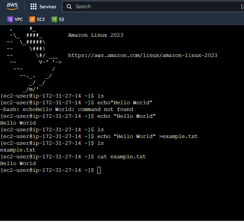 Linux Shell Outputs - Cmscott - Medium