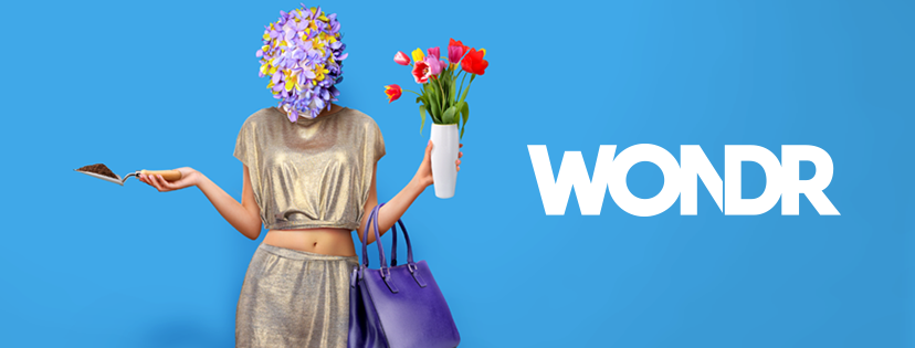 Overview on How To Use WONDR. We’d like to give you a quick tour of ...