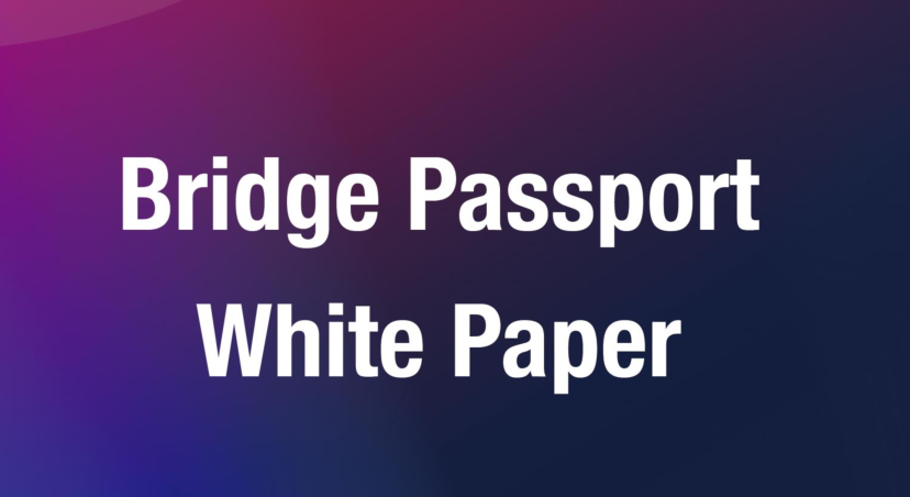 Bridge Passport White Paper. 1.Preface | by Bridge Passport | Medium