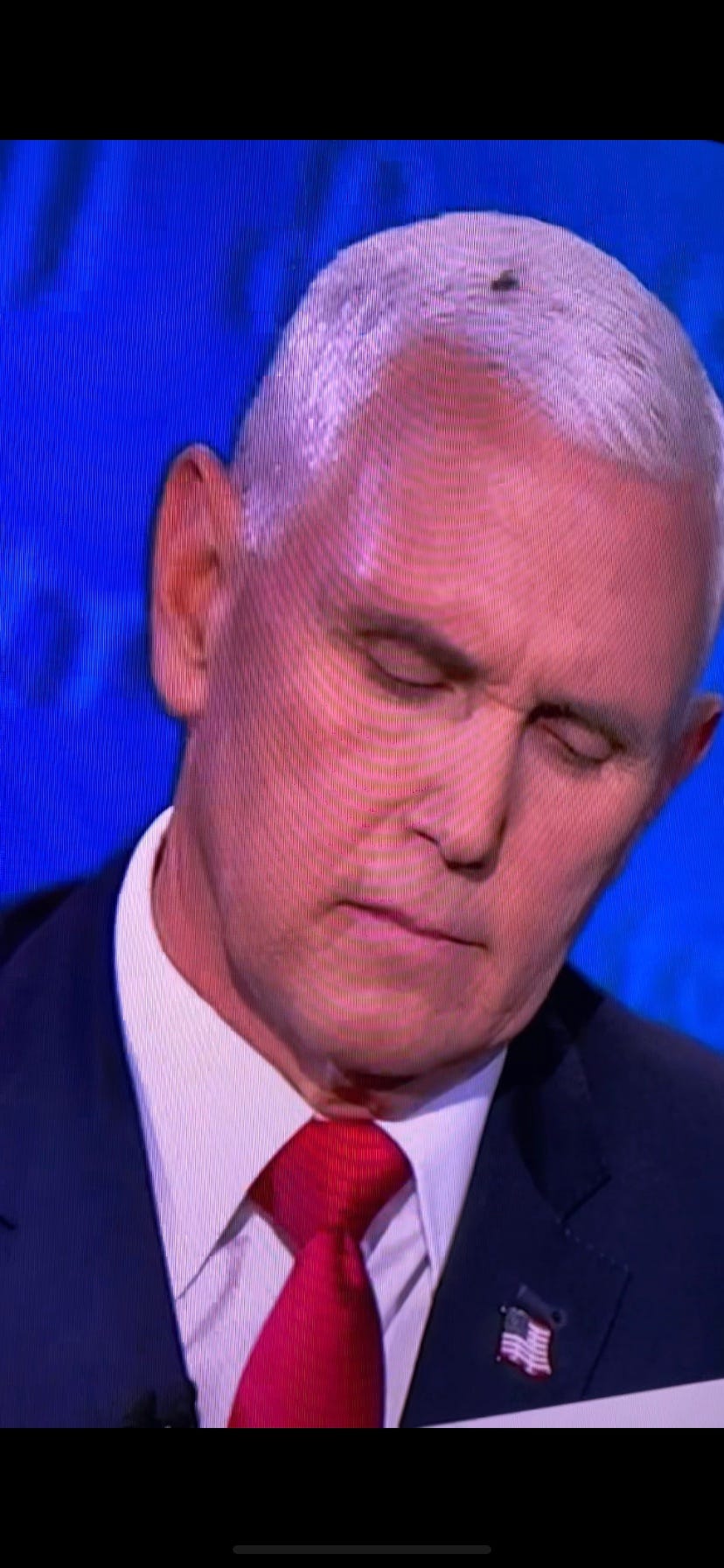 Fly the White Flag | Why I’m Done With Politics | Column | by Attiyya ...