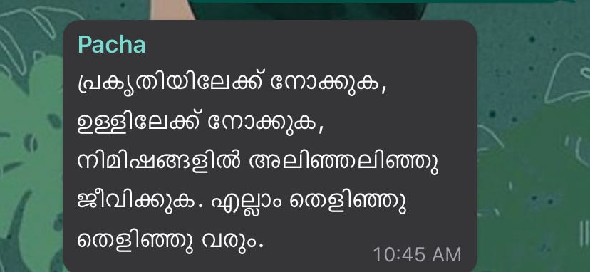 My Father, the Unintentional Writer | by Ameya Thachappilly | Aug, 2023 | Medium