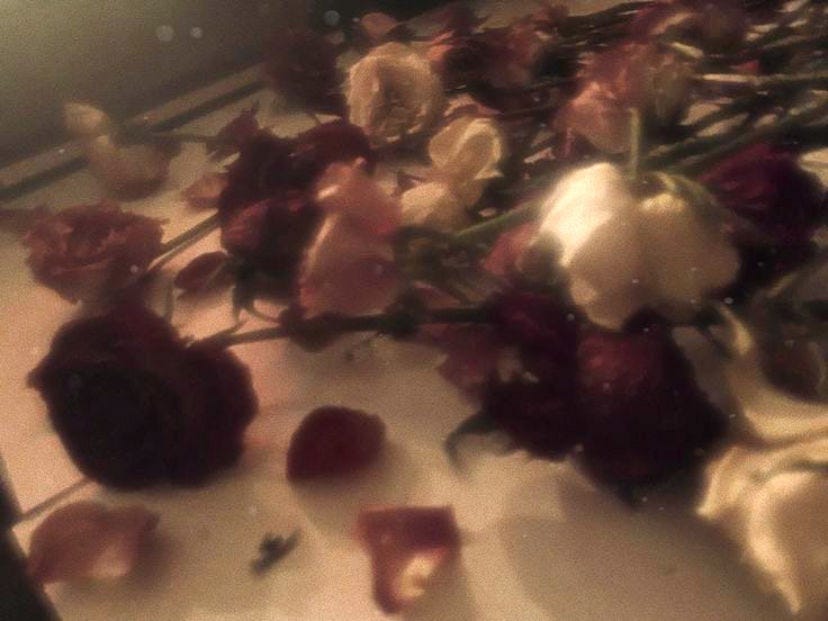 In Advance. Once, I touched the stems of flowers in… | by Ihotu Apochi | Apr, 2025 | Medium