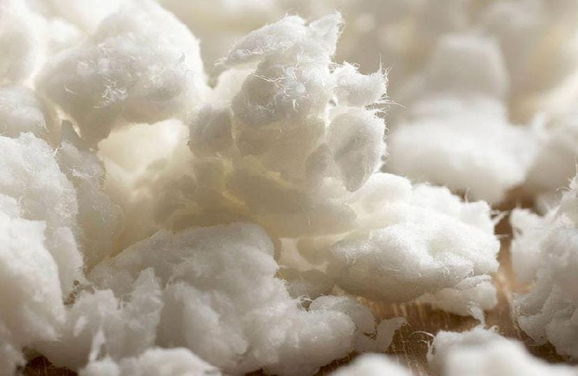 Global Dissolving Pulp Market Is Estimated To Witness High Growth Owing ...