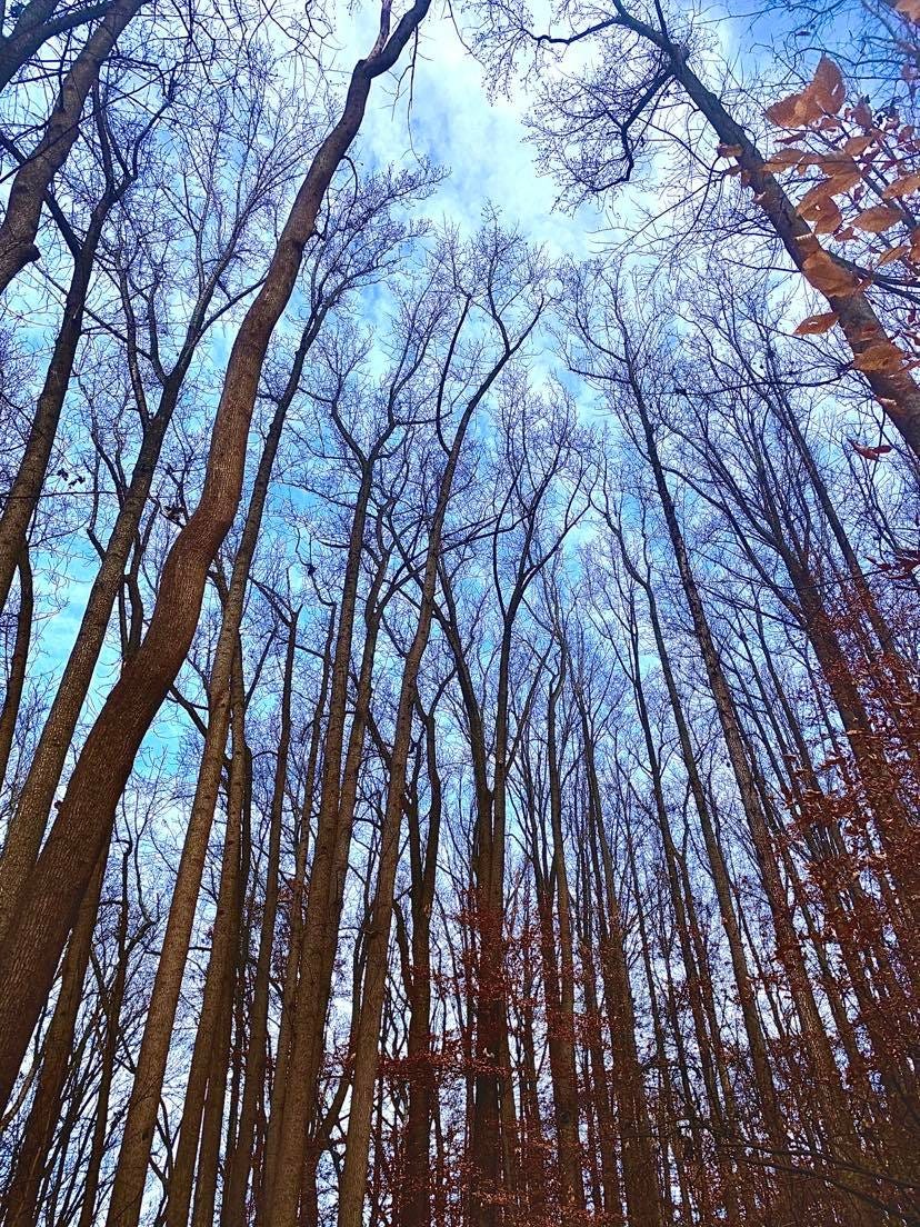 Of My Body | by eric mccarty | Medium