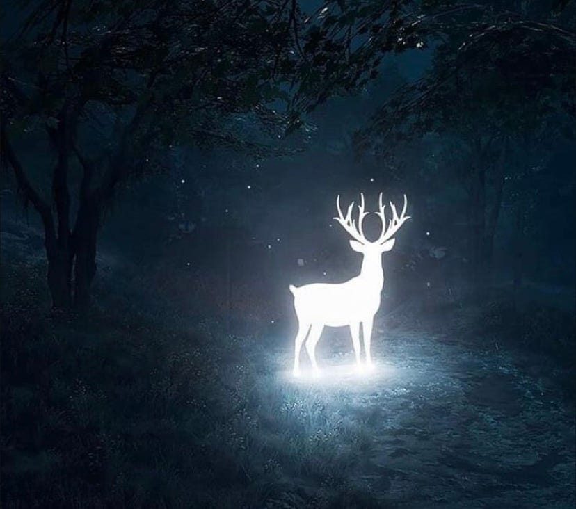 Girl (remastered) - dshield - Medium