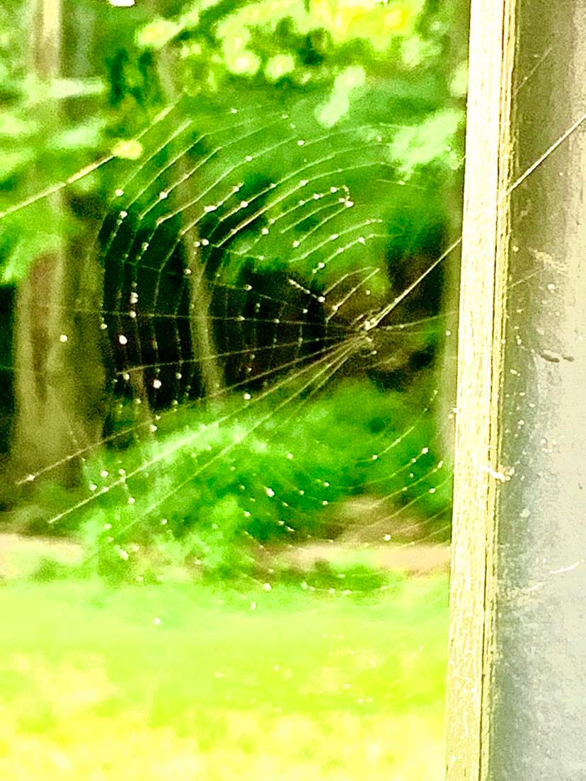 Yoga of the Subtle Body. The yoga of the subtle body: | by Eric Mccarty ...