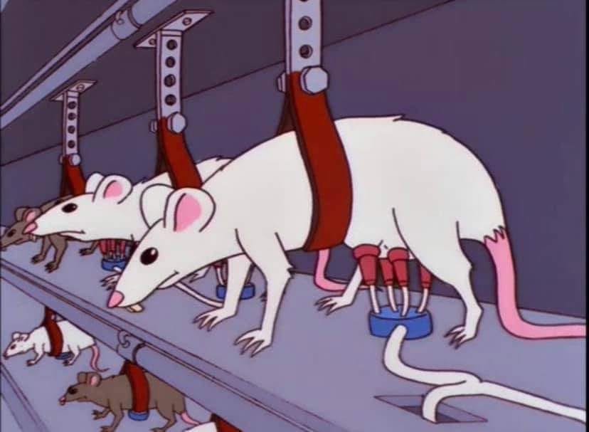 The Writing On The Wall Is Written In Blood And Sweat | by Dillon ...