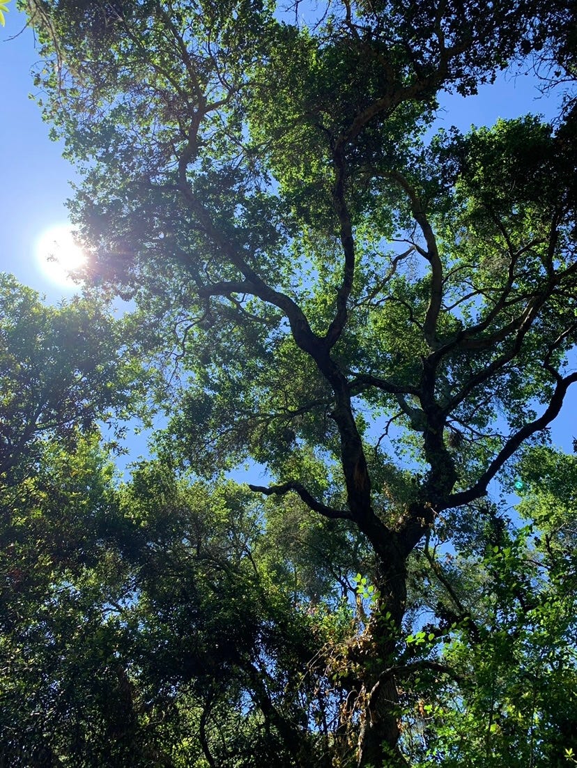 The Key To Finding Happiness: Living in the present | By Marie Tille ...