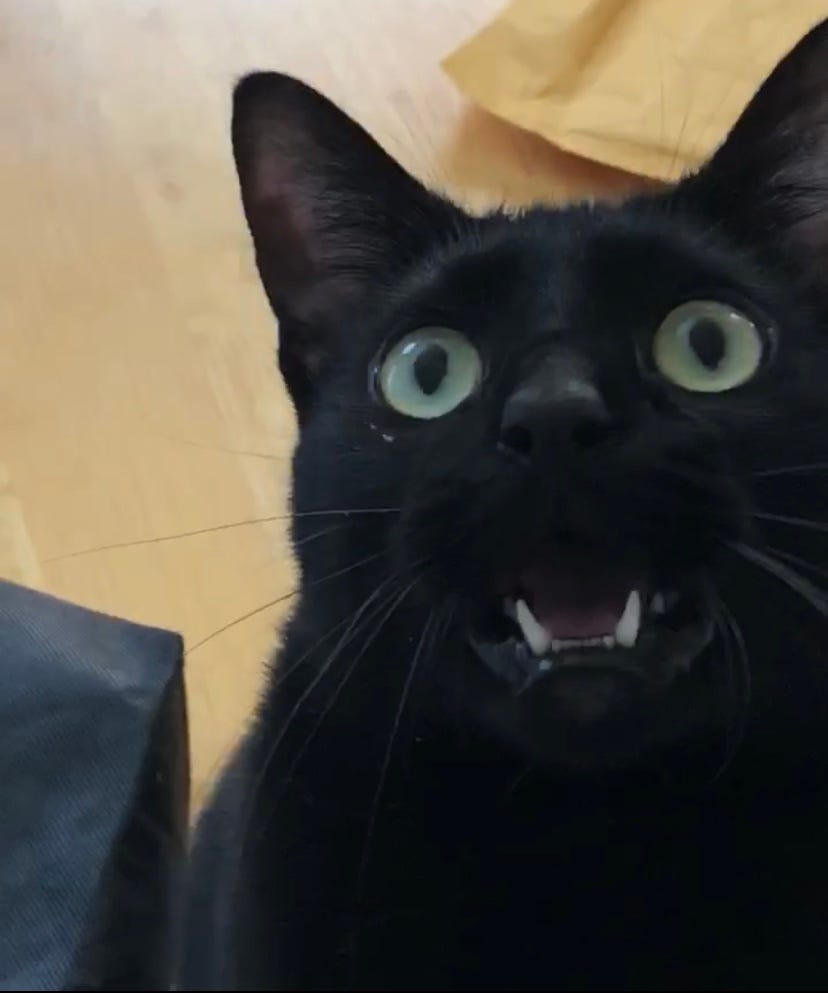 Miss my stinky bayba. | by Jingwen Nie | Medium