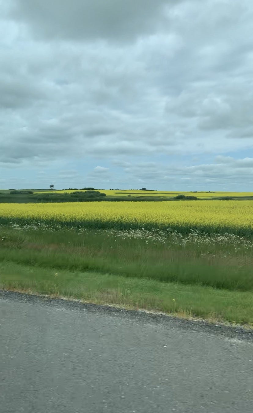 Great Alaska Road Trip: Day 4. Traveling from Ontario to Alaska in my ...
