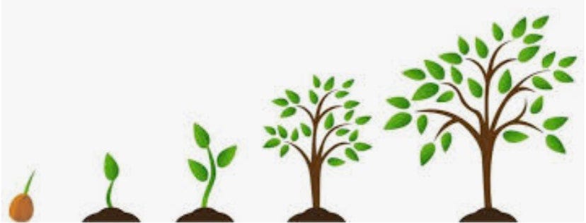 User growth. Ways to establish, grow and sustain a… | by Philip Martin ...