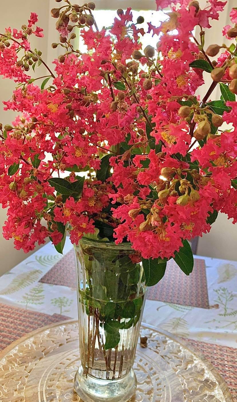 NON-TRADITIONAL CUT FLOWERS THAT WORK WONDERS - Sichu Mali - Medium