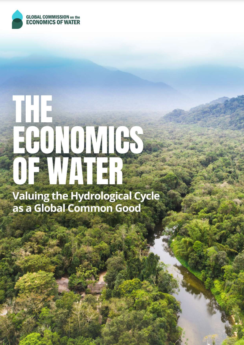 Water Crisis or Capitalist Opportunity? A Critical Take on the Global ...