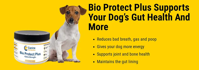 GitHub - marcwhite99/Bio-Protect-Plus-Review: Bio Protect Plus Review