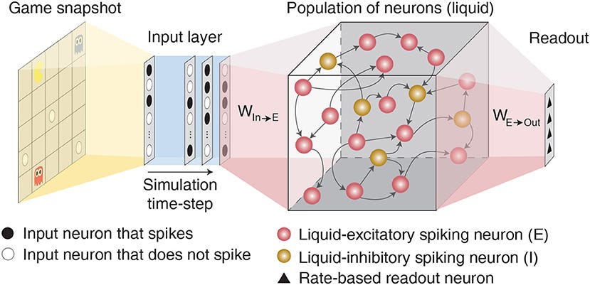 Temporal Dynamics Unleashed: Optimizing Liquid State Machines for Next-Generation Neural ...