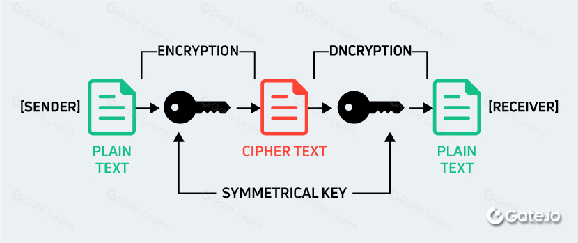 Cryptography And Hash Function. In this lesson, we’re going to explore ...