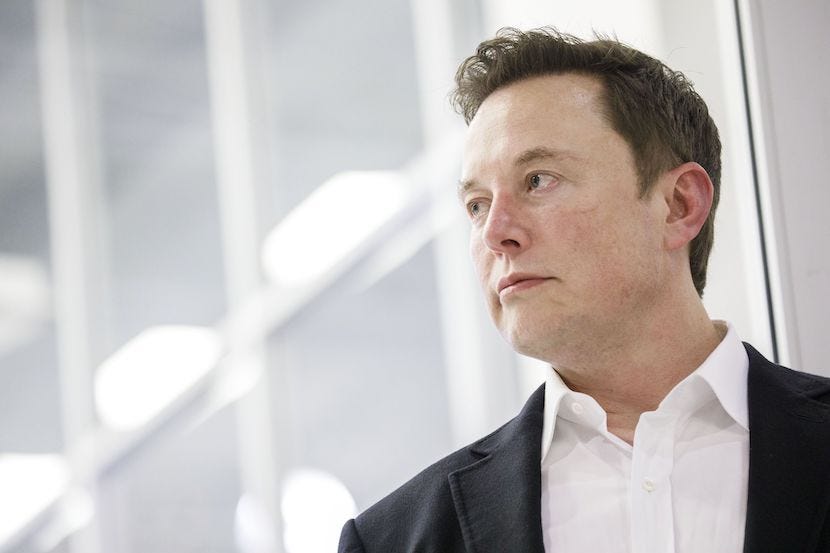 Elon Musk never watched the Simpsons as a kid | by Dane Swan | We're ...