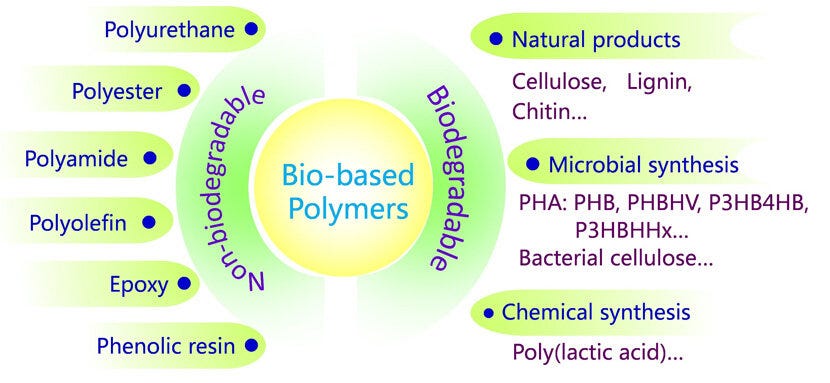 Bio-Based Polymers Market Is Booming So Rapidly During Assessment ...