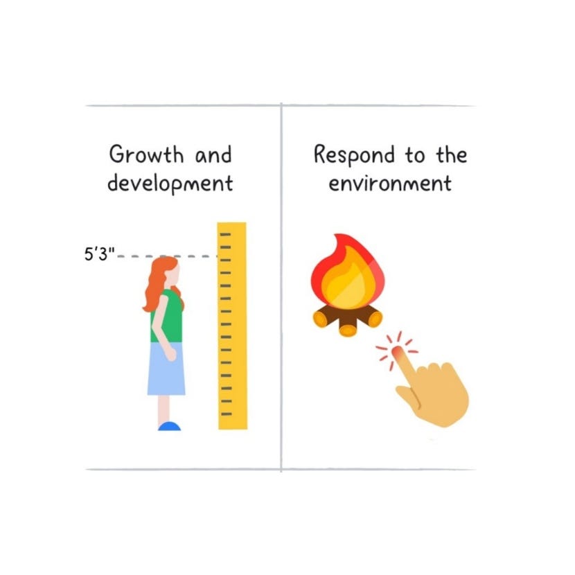 Different Types Of Growth And Stimuli By Vishveshvryya Kanhaiya Different Types Of Growth And Stimuli By Vishveshvryya Kanhaiya