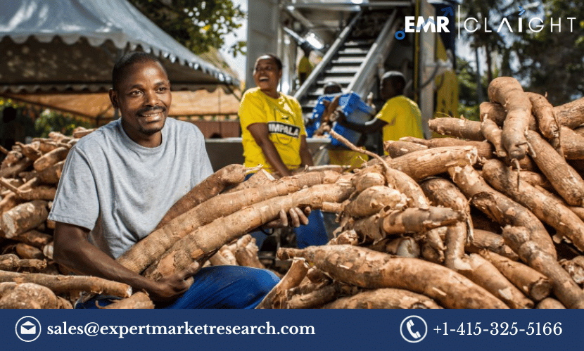 Exploring the Future of Cassava Processing: Innovations and Market ...