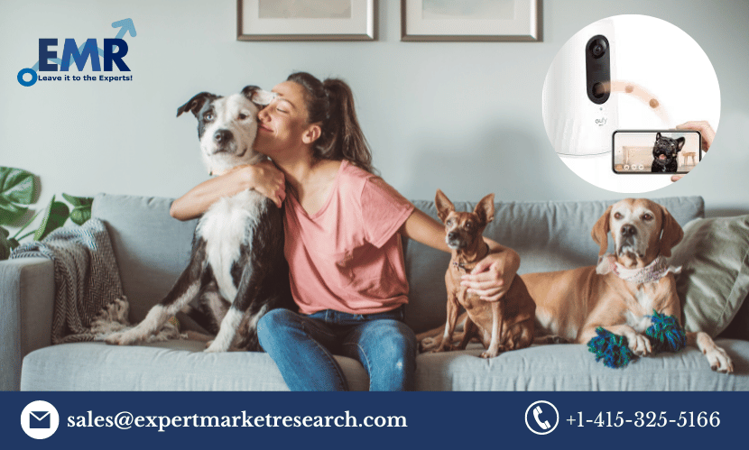 The Rise of Pet Wearables: How Smart Collars and Tags Are ...