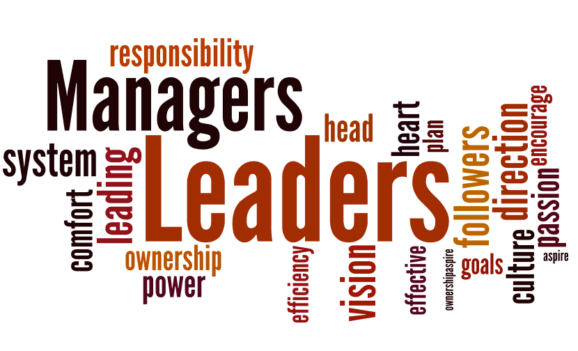 Understanding the Difference Between Project Leadership and Project ...