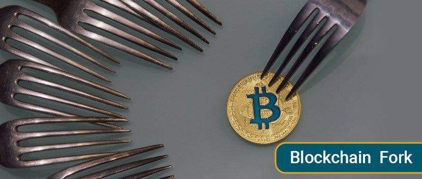 Exploring the Different Types of Blockchain Forks: A Simplified Guide ...