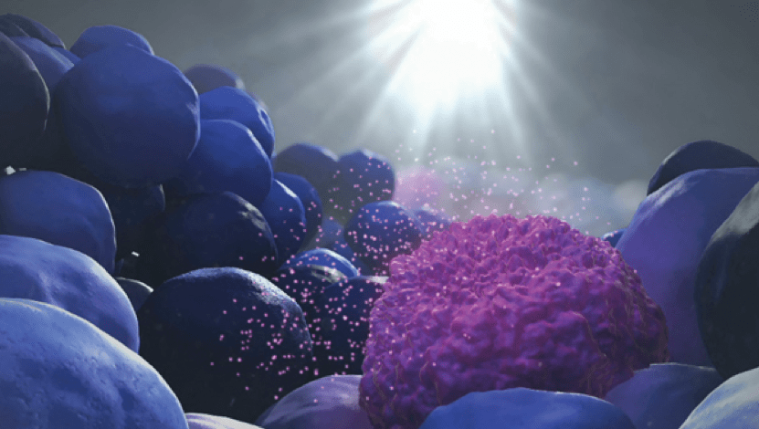 Le vescicole extracellulari: postini o spazzini? Scopriamo il loro ...