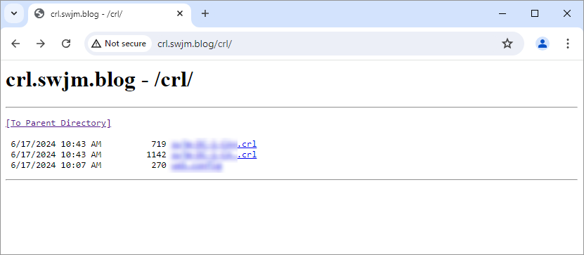 Publishing Certificate Revocation Lists (CRLs) Using Microsoft IIS: A Step-by-Step Guide | by ...