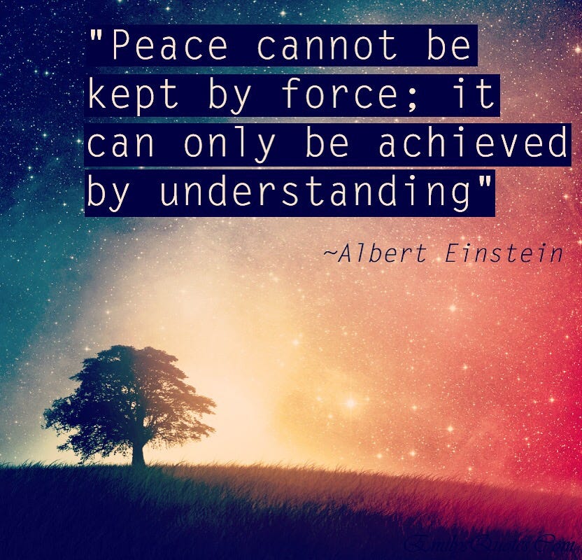 Comments On The Quote #1. Peace cannot be kept by force, it can… | by ...