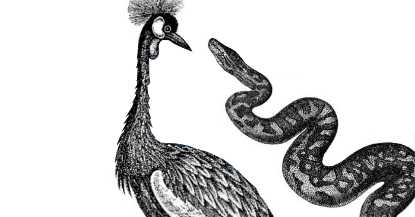 Using Python Libraries in .NET without a Python Installation | by ...