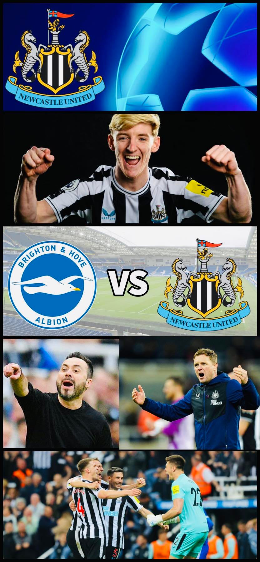 Newcastle United at Brighton Preview — Mags Must Focus On South Coast ...