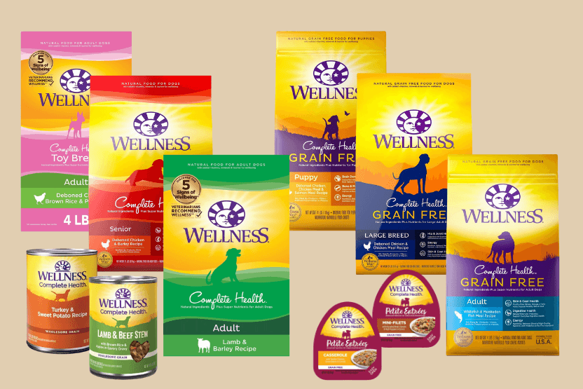 Best Top 10 Wellness Dog Food Reviews | by Heartboardroom | Sep, 2023 ...