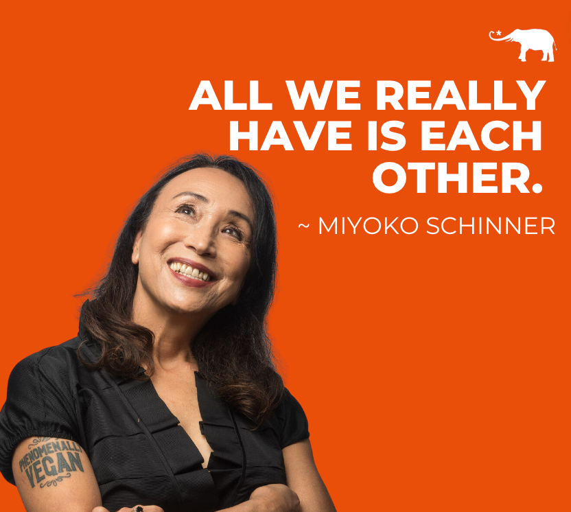 Waylon with Miyoko, founder of Miyoko’s, on Cooking, Activism ...