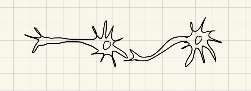 Synaptic Tagging and Capture Theory Literature Review and Next Steps ...