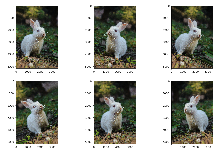 Image Augmentation to Build a Powerful Image Classification Model | by ...