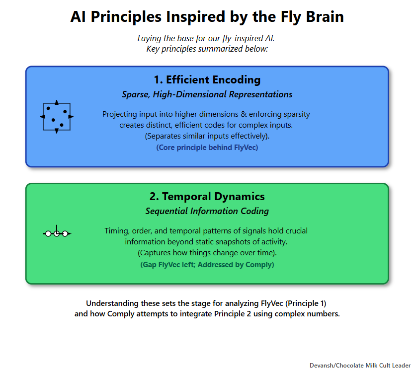 Comply: Learning Sentences with Complex Weights inspired by Fruit Fly ...