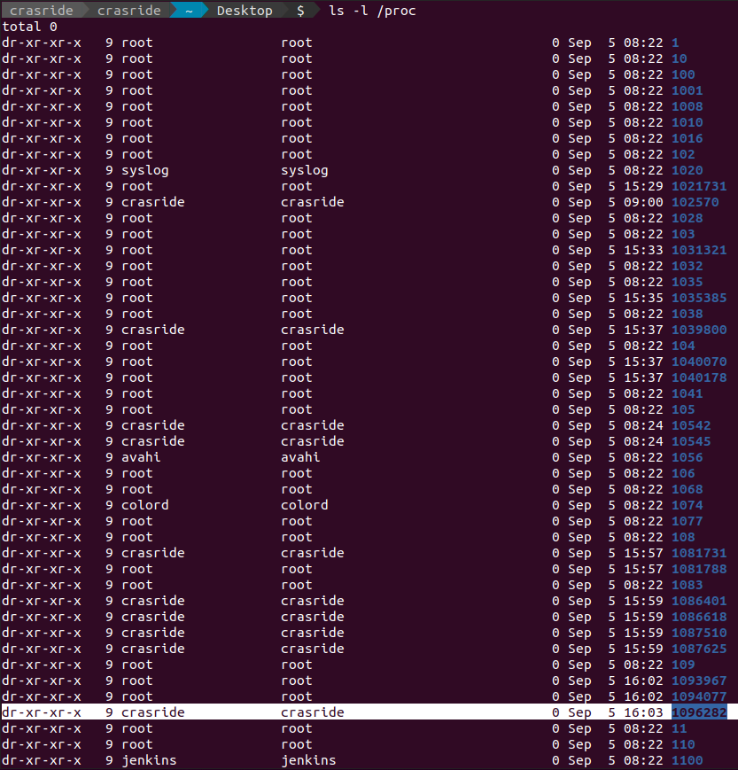 Exploring the /proc Filesystem. Introduction: | by José Fernández | Medium