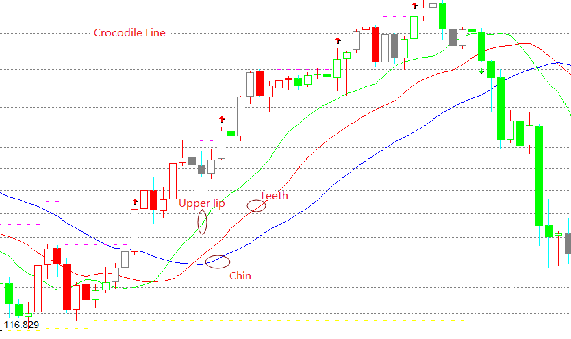 Crocodile line trading system Python version | by FMZQuant | Medium