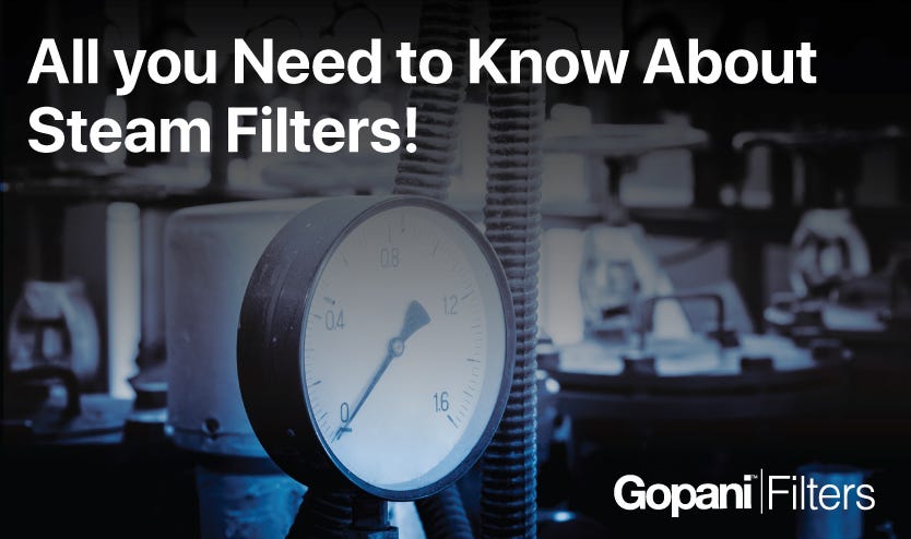 All You Need to Know About Steam Filters! - Gopani Filters Private ...