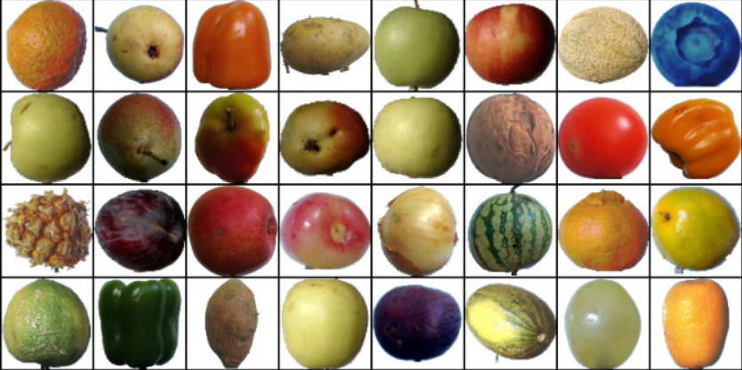 Classifying Fruit Images using a ResNet and Regularization techniques ...