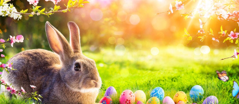 Eggs, Bunnies, or Crucifix?: Unveiling the The Myth Behind Easter ...