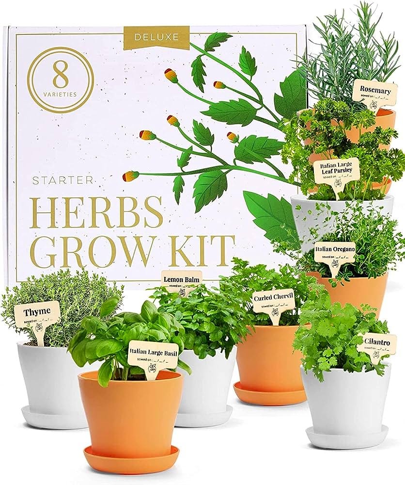 Unveiling the Ultimate Medicinal Garden Kit for Your Health and ...