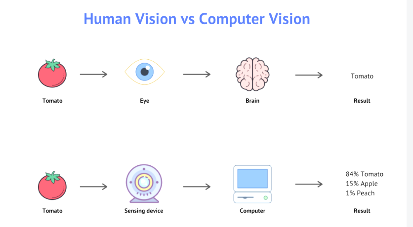 Computer Vision: Fundamentals to Advanced for the Next 100 Years ...