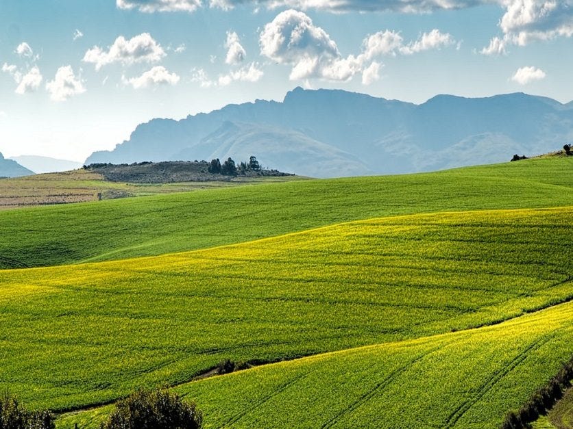 How to Grab the Best Agriculture Business Opportunities in Turkey ...