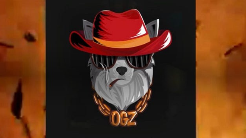 OGz platform is new innovation gamingp, Anti-cheating and dynamic ...
